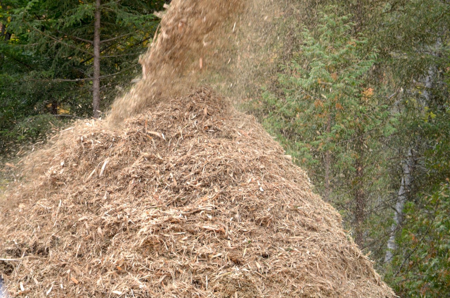 Report Wood Pulp Lumber Import Values For China Drop In 2020 Pulp report-wood-pulp-lumber-import-values-for-china-drop-in-2020-pulp