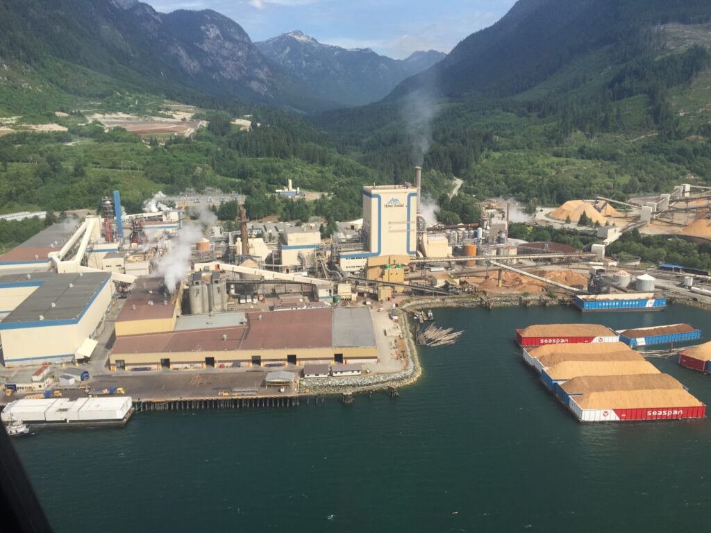 Tales of transition: Paper Excellence's story - Pulp and Paper ...